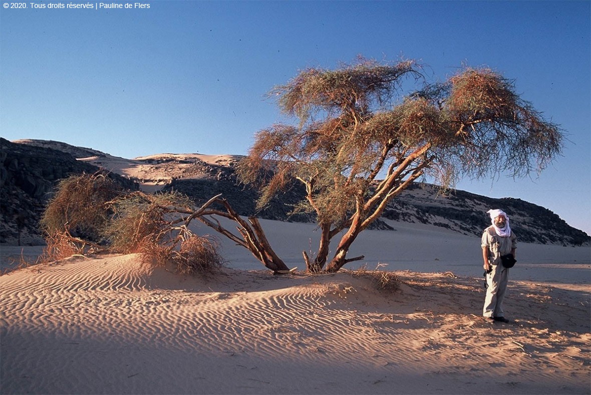 15 Samir Lama DH000024